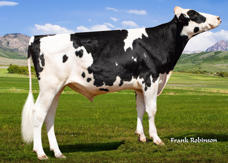 Sire Catalog - CRV