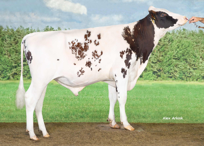 Sire Catalogue - CRV